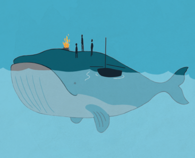 Mythical Irish Beasts - Currach Books